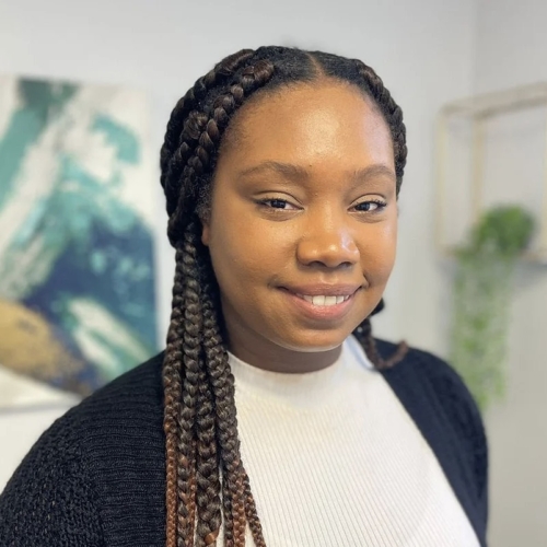 History of the Healthcare Council, Leadership Team and Council Staff